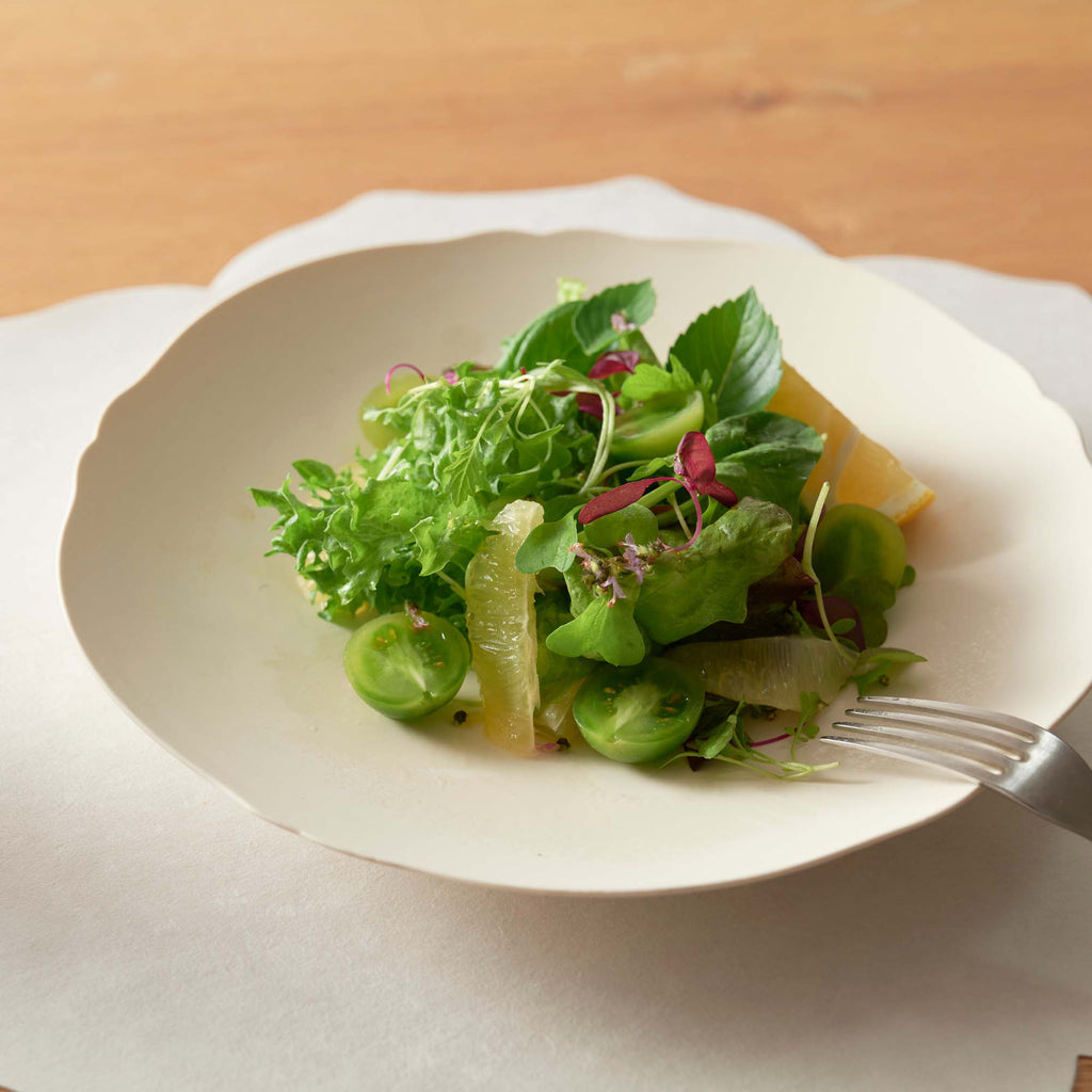 TSUBAKI Snow Plate – Slow Sunday Select Shop