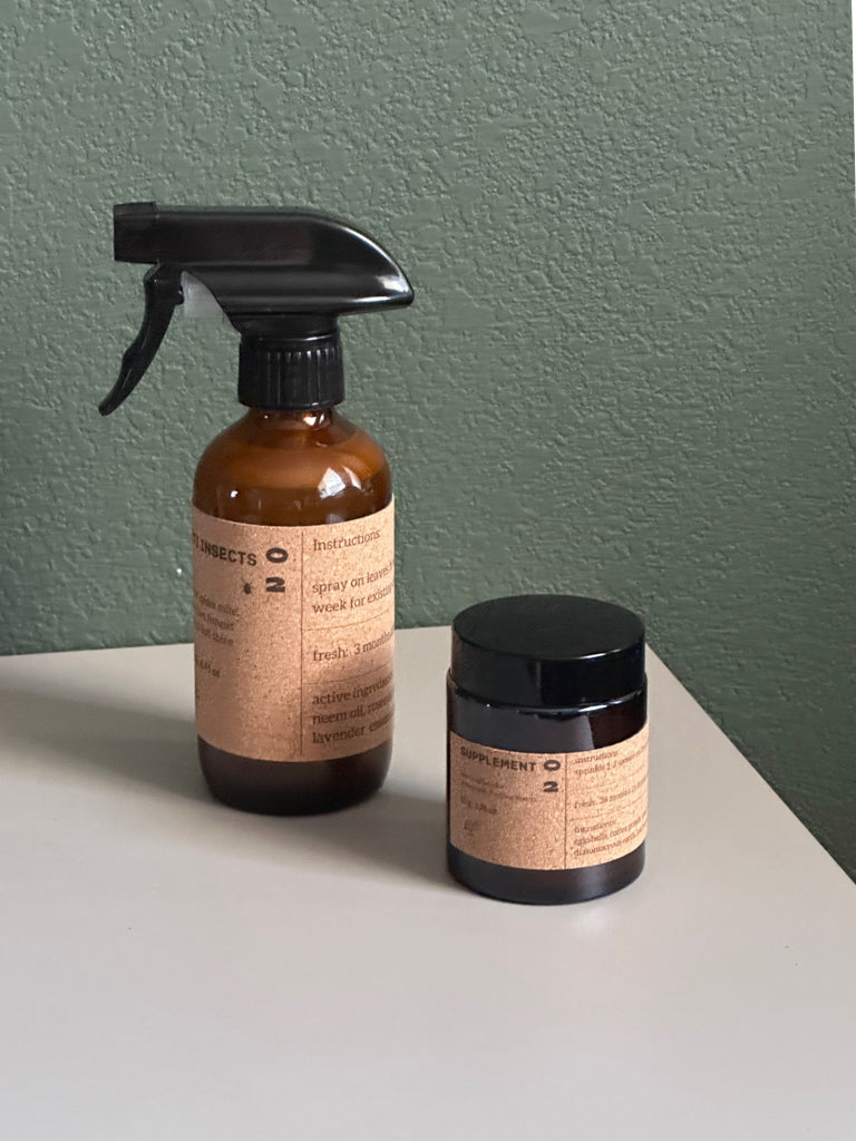 Supplement 02 – Slow Sunday Select Shop